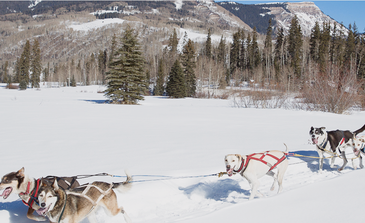 Home - The Payroll Department, Colorado